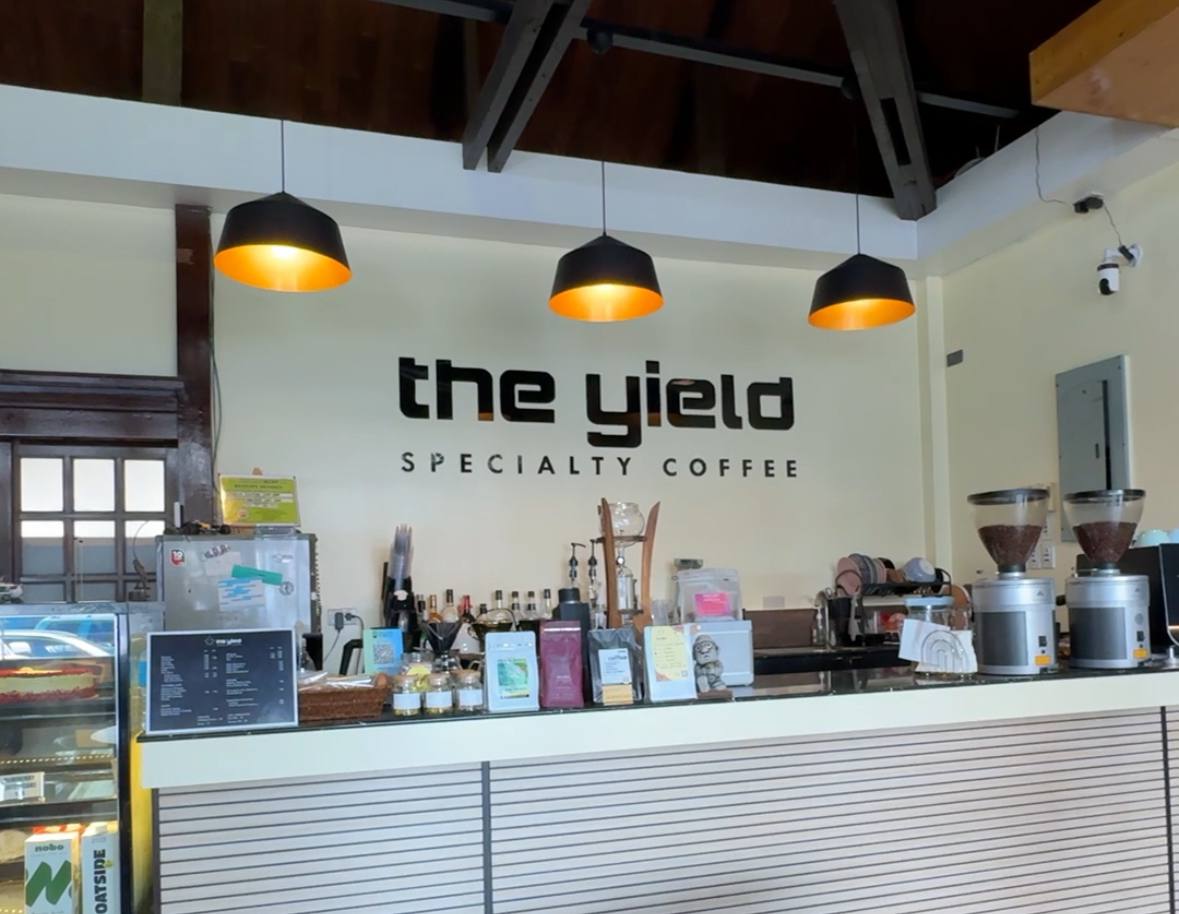 The Yield Specialty Coffee gains recognition as SCA-Certified Member ...